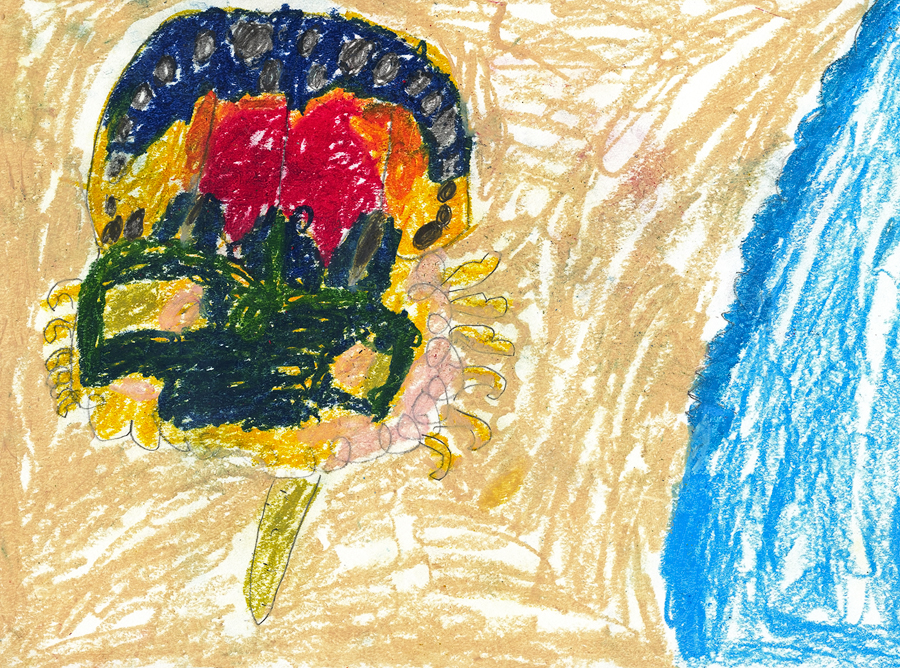 » Cameron Reeves | The Horseshoe Crab